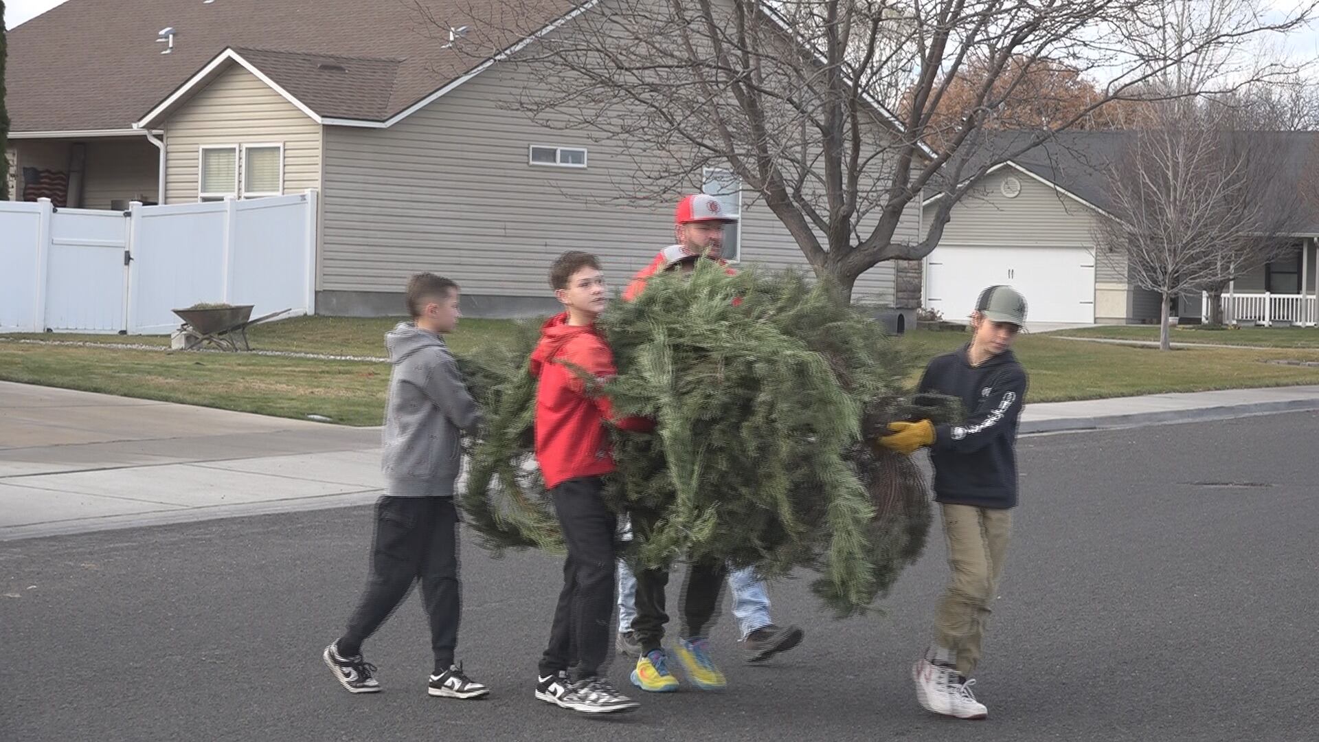 Kimberly Yard Dogs pick up Christmas trees