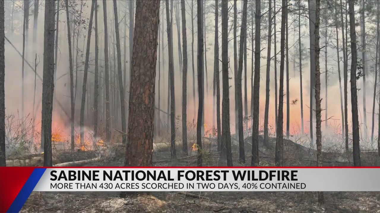 Firefighters responding to 435-acre wildfire in Sabine National Forest