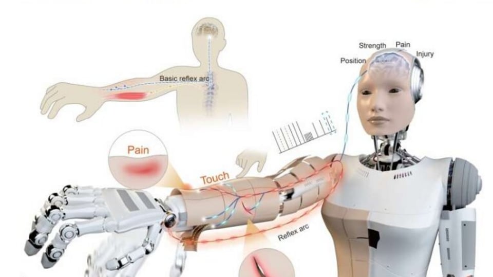 Robots that feel pain? New e-skin mimics human reflexes, pushing ...