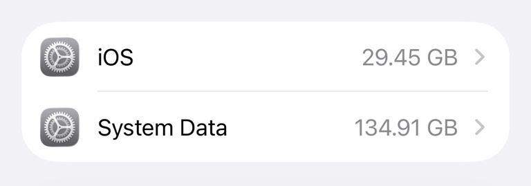 How to clear system data on iPhone (the only way that works)