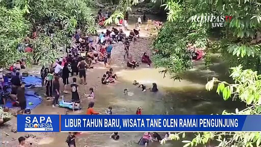 Libur Tahun Baru 2026, wisata alam Tane Olen di Malinau dipadati ...