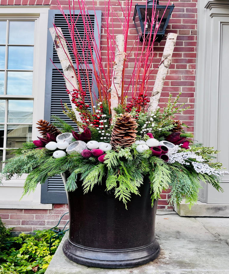 Stop replacing cracked pots – expert tips for 5 best frost-proof containers