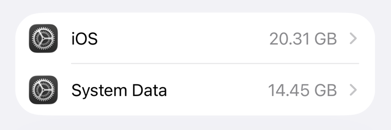How to clear system data on iPhone (the only way that works)