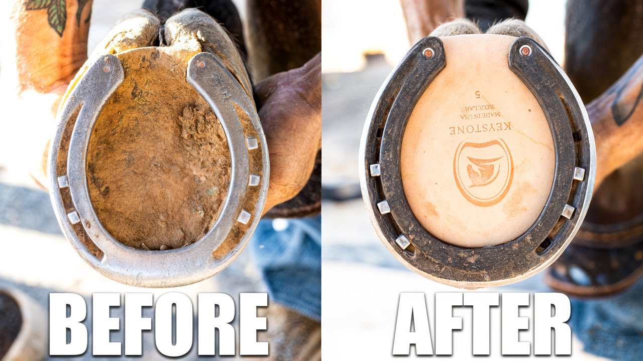 I restore horse hooves and it's mesmerizing