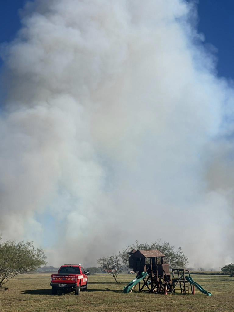 FD: Large grass fire erupts near E Highway 100 in Los Fresnos
