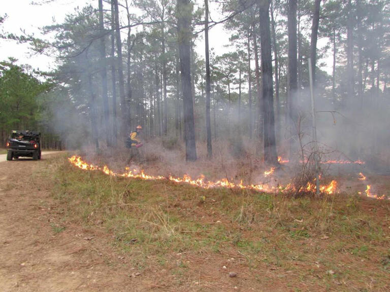 Battle continues as Sabine National Forest fire reaches 275 acres