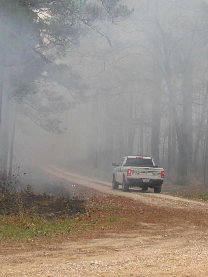 Battle continues as Sabine National Forest fire reaches 275 acres
