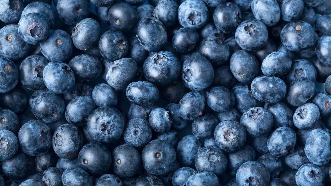 Step-by-step guide for growing blueberries at home or balcony garden