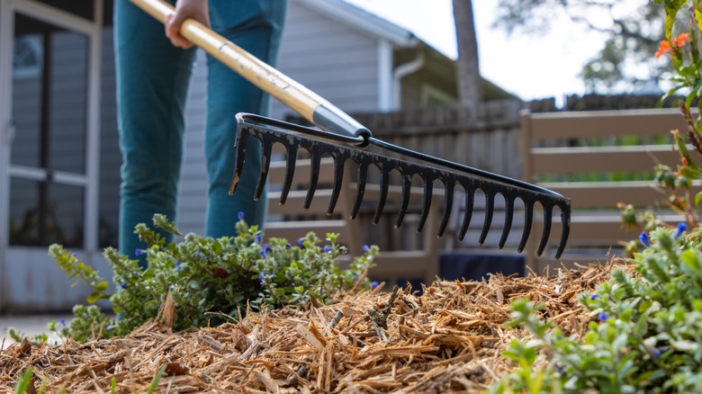 How much should you pay a gardener in 2026?
