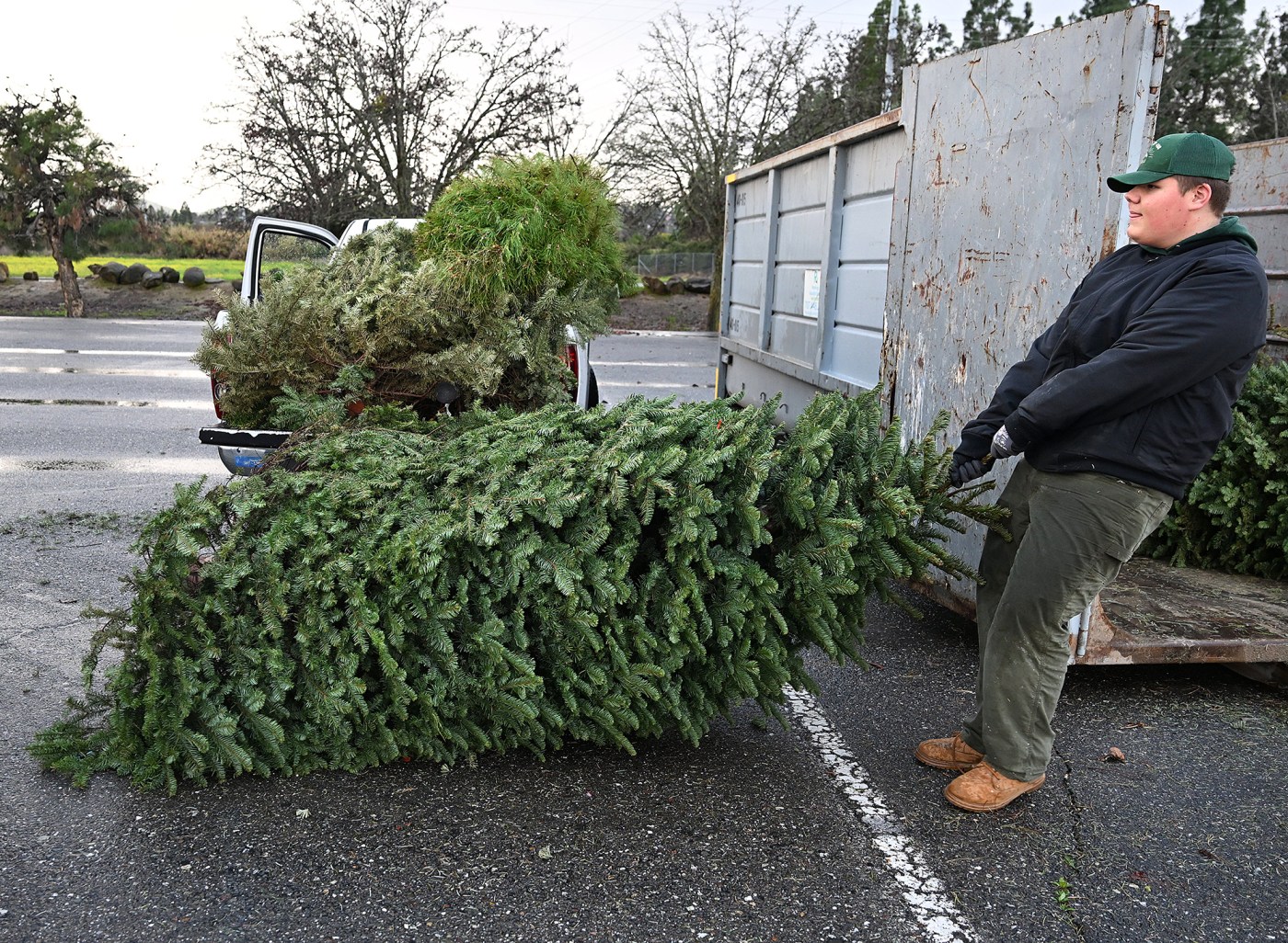 Boy Scouts recycle Christmas trees