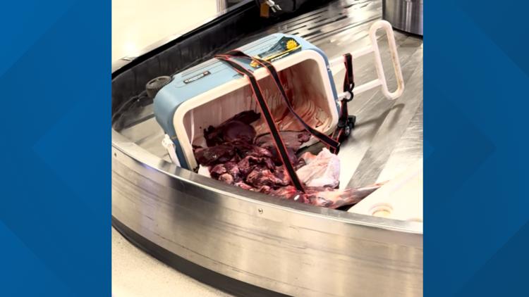 Video: Raw meat on luggage carousel at Arizona airport