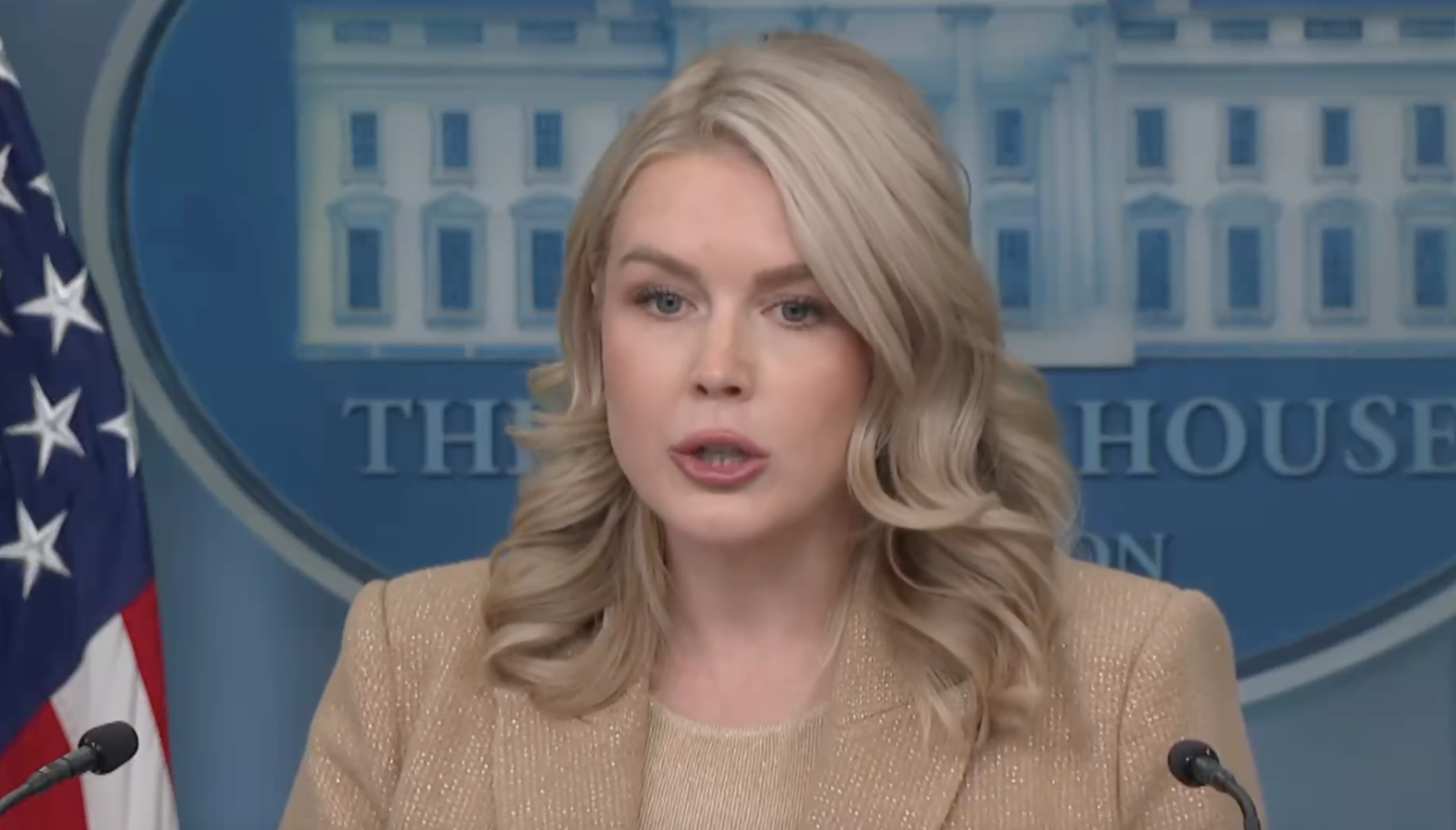 'He has the right to take them out': Karoline Leavitt scrambles to ...