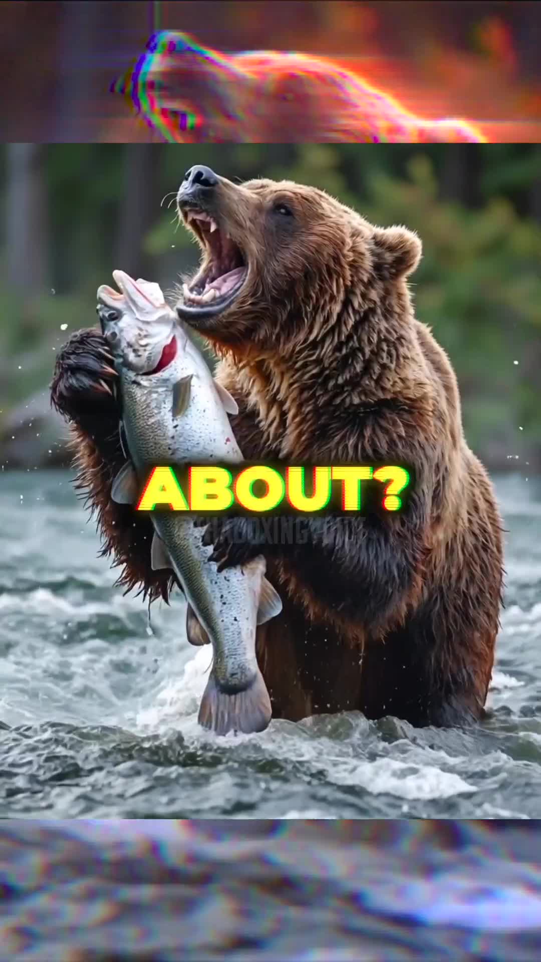 100 men vs. a gorilla? "Women would rather date a bear than a man these ...