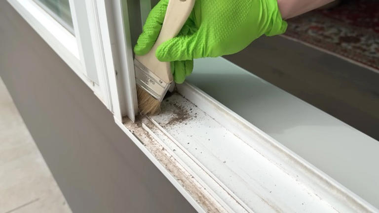 Keep windows clean with an affordable paint brush hack