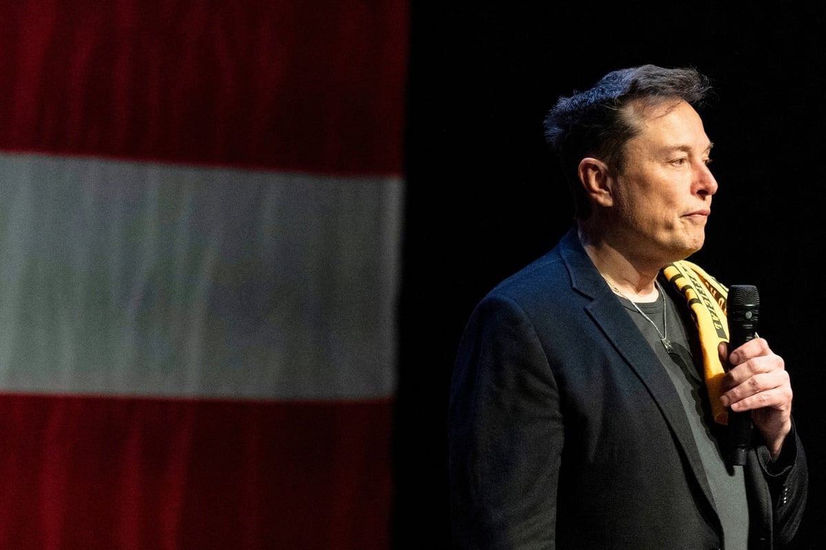 Elon Musk blames Democrats and DEI programs for California wildfires ...