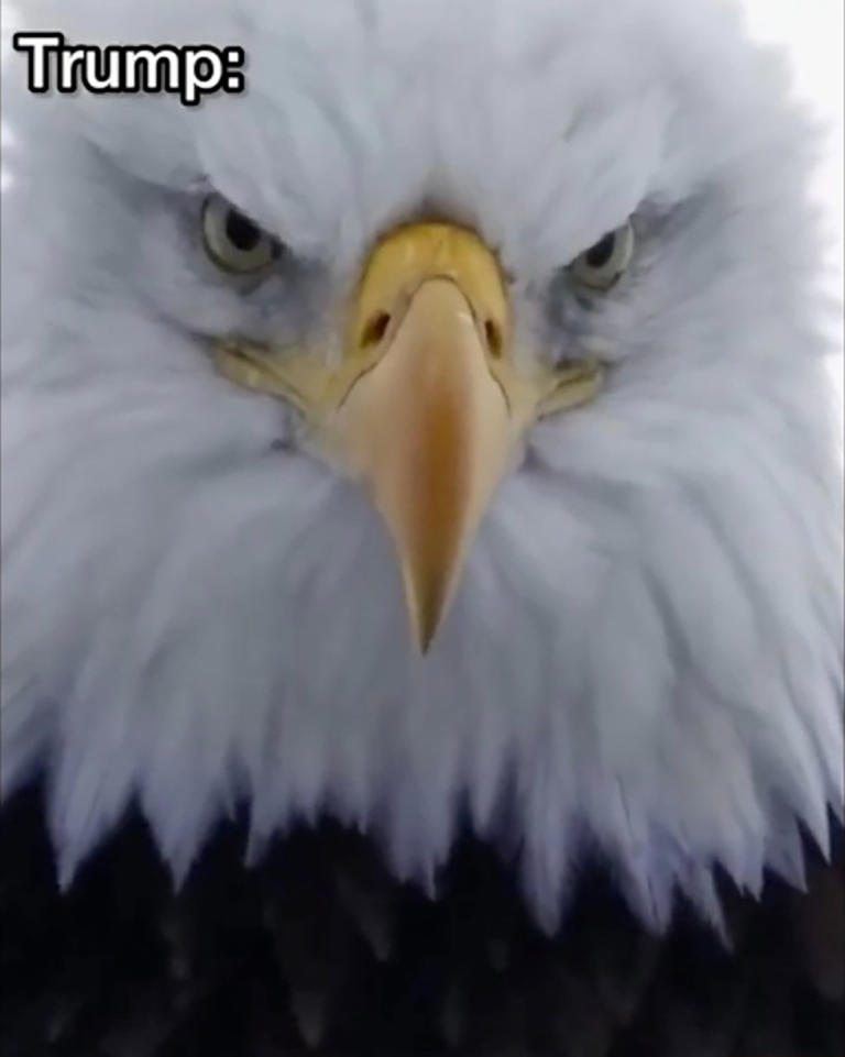 Trump posts triumphant video mocking Maduro after his early morning ...