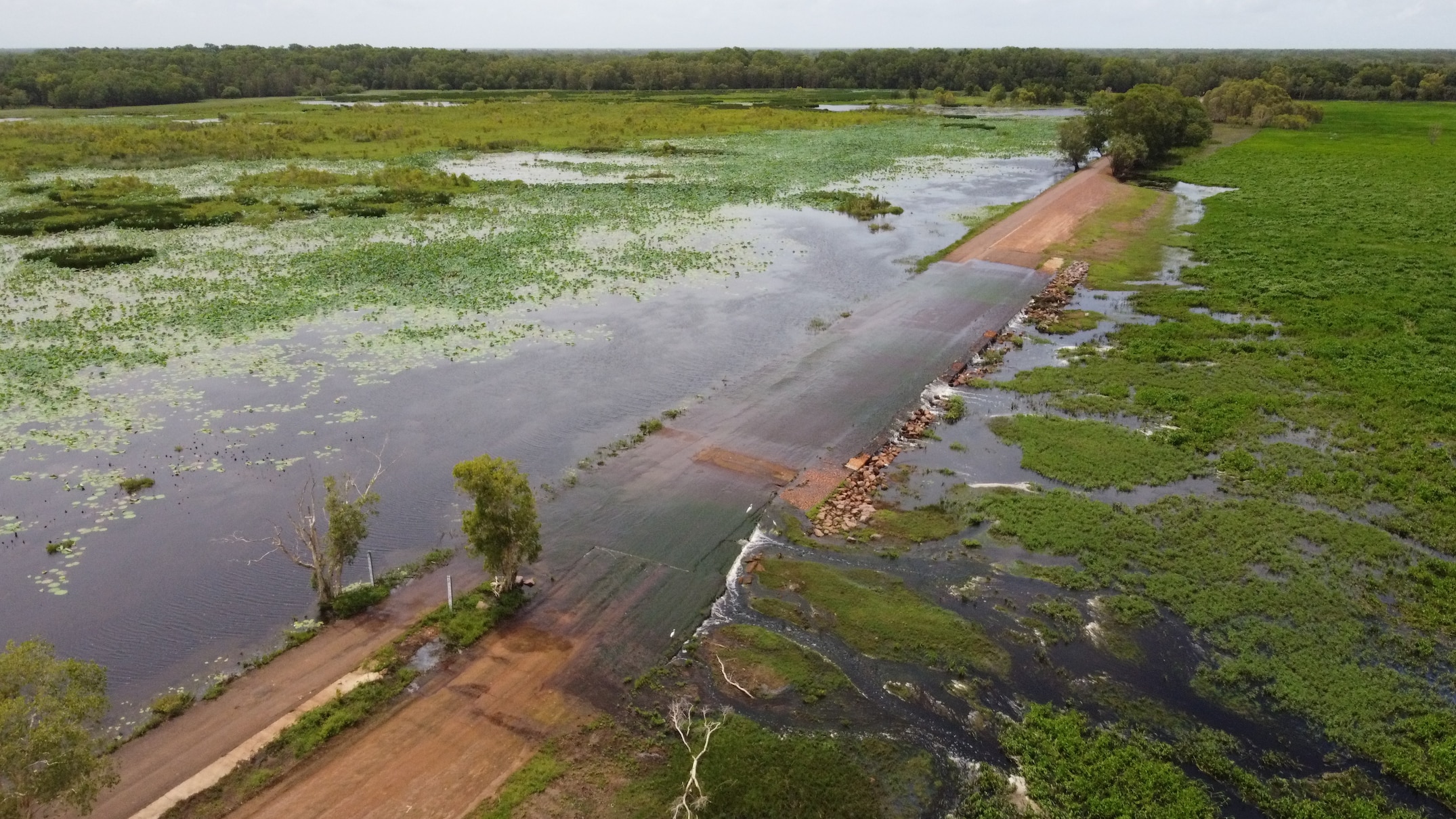 Top End dams overflow as parks come to life in the wake of Cyclone Fina