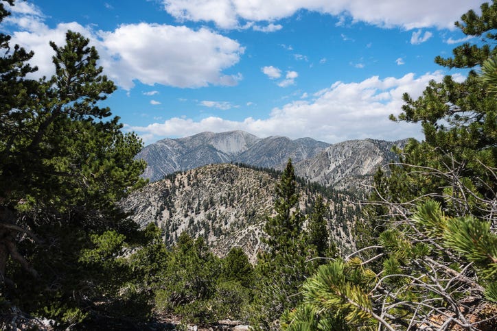Final two hikers found dead at Mt. Baldy identified