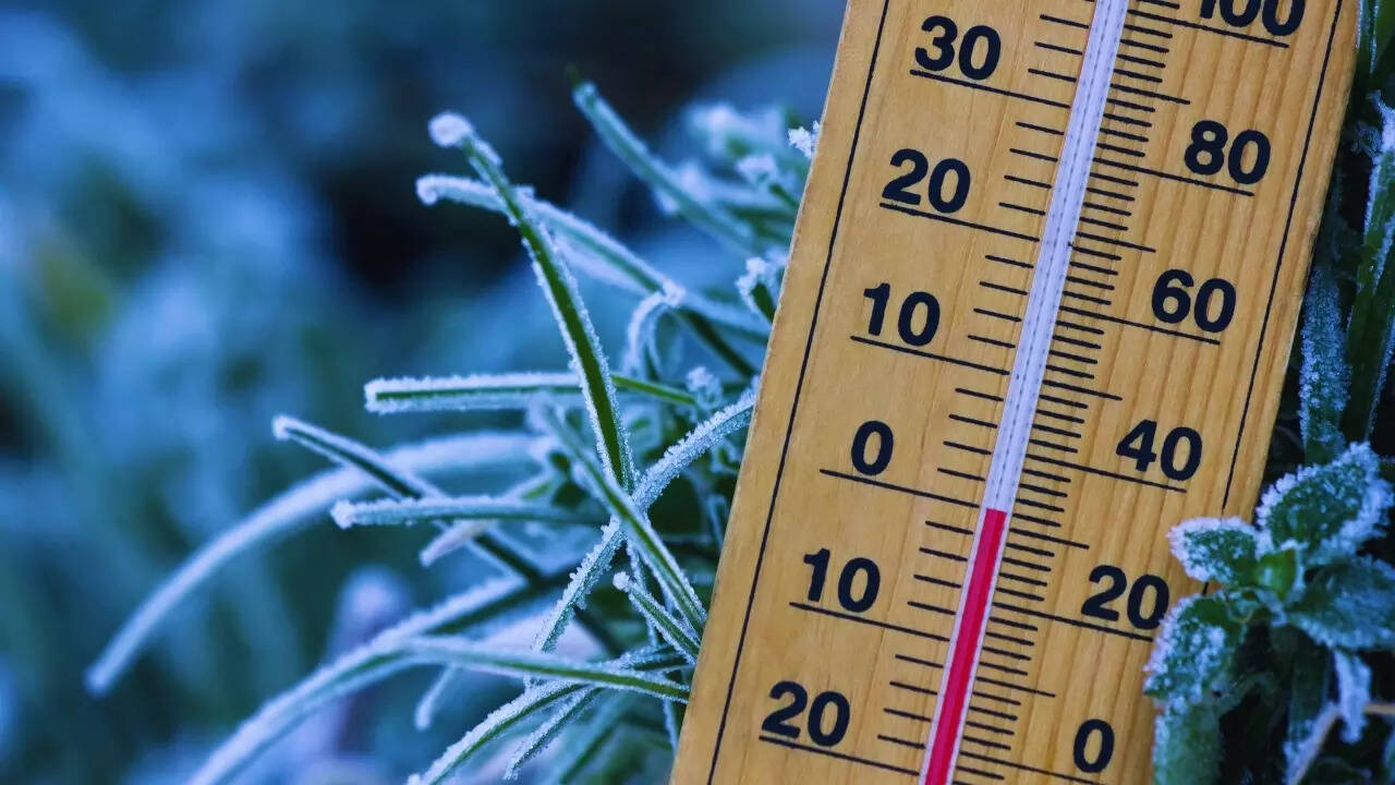 Travelling in early January? Cold wave and low visibility likely across ...