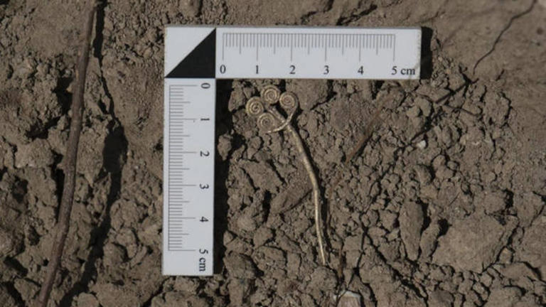 Questa spilla d’oro riscrive la cronologia di Troia