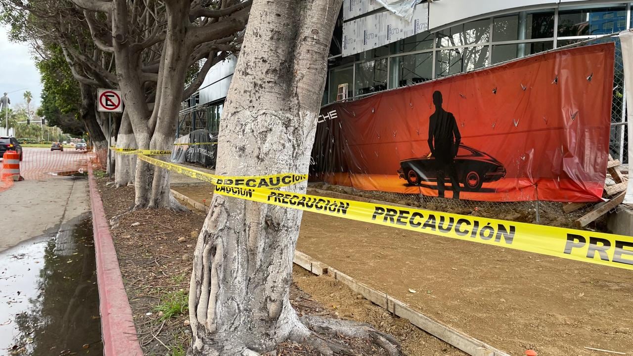 Así luce el sitio señalado por tala de árboles en Paseo de los Héroes