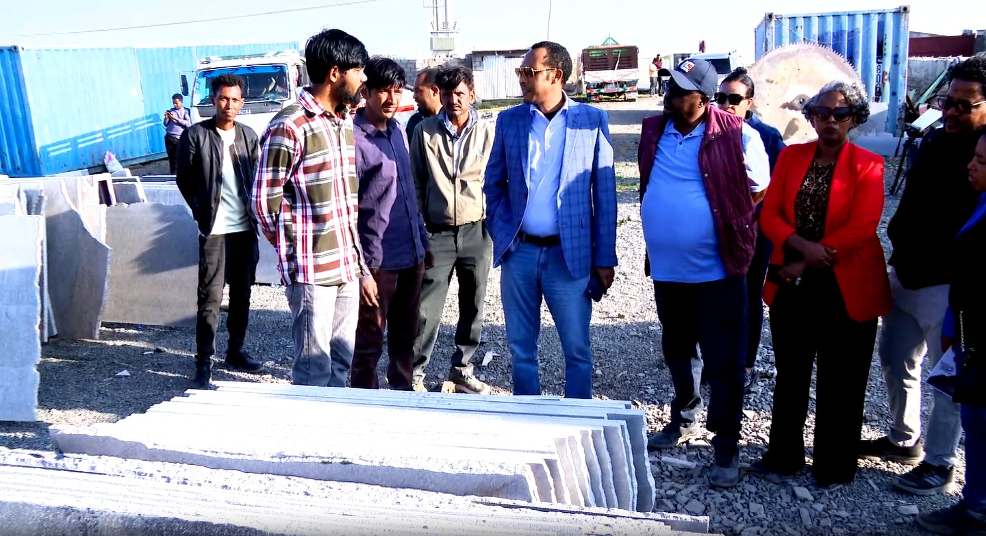 Ethiopia making giant strides in mining sector: Minister