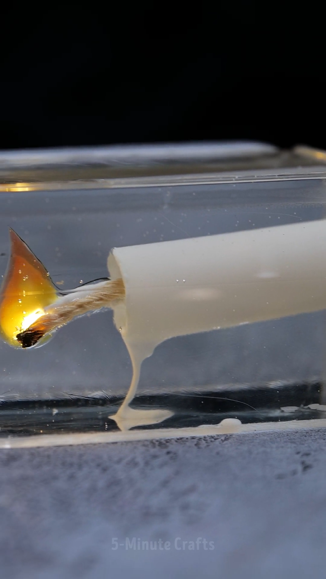 Transform your lamp into an enchanting underwater scene