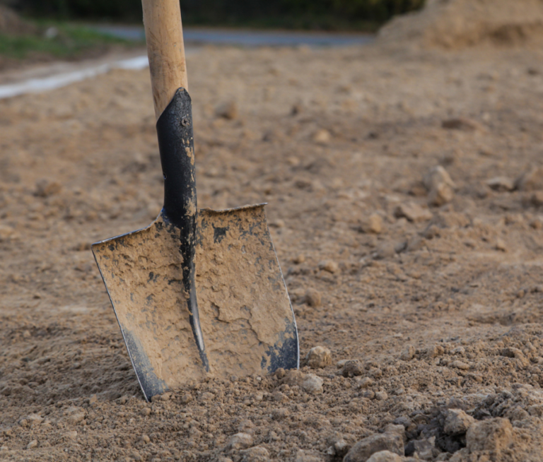 Yes, you can grow a lush lawn in clay soil—here’s how pros do it