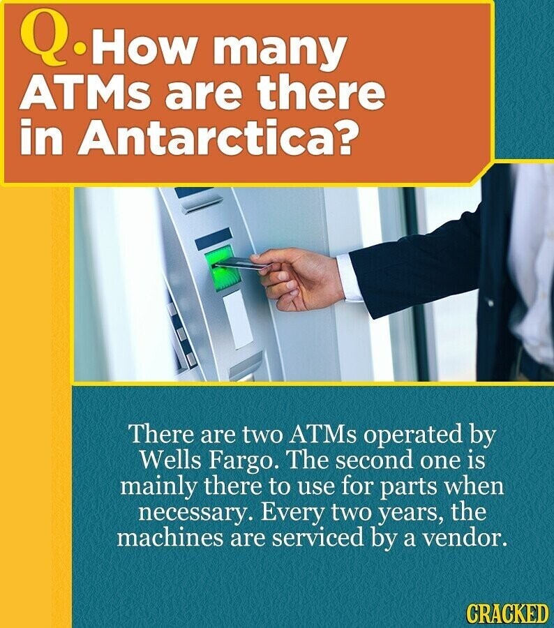 13 answers to questions we never thought to ask