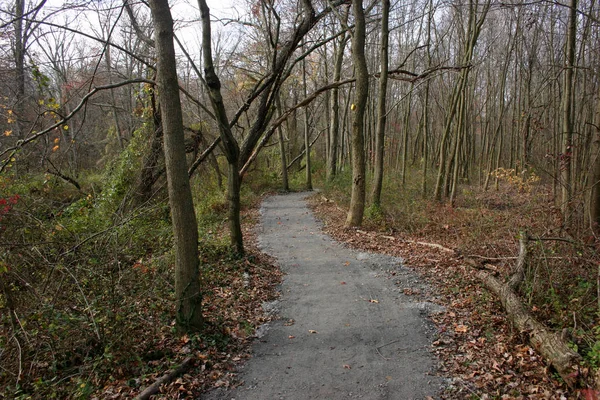 Scenic drives in the Bluegrass region