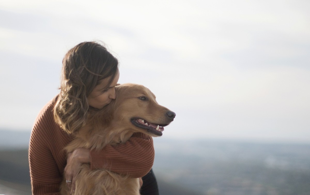 8 signs your dog is in a good mood, according to trainers