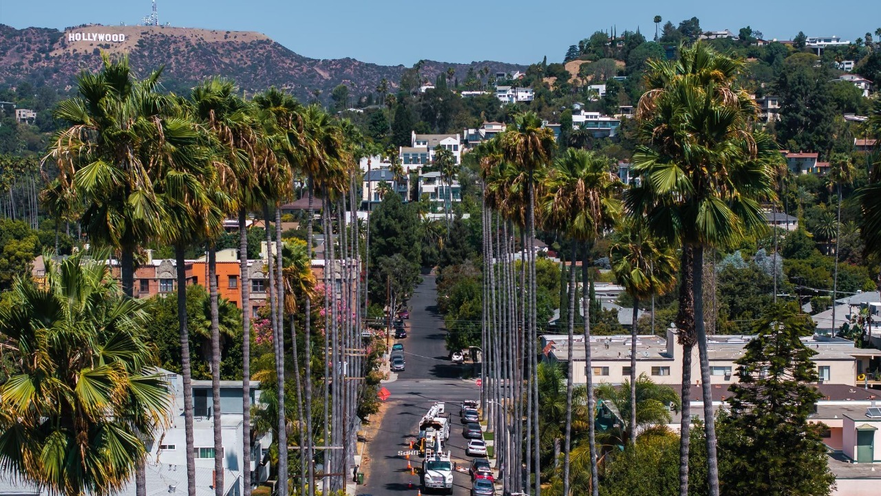 California admits billionaire tax could shrink revenues as petitions begin