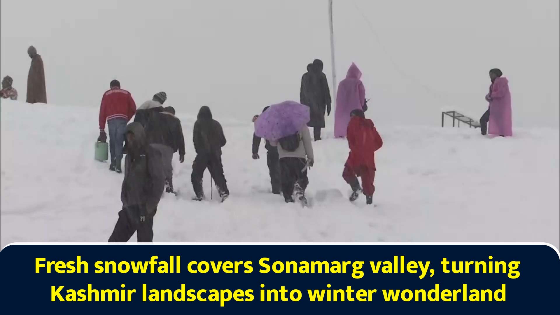 Fresh snowfall covers Sonamarg valley, turning Kashmir landscapes into ...