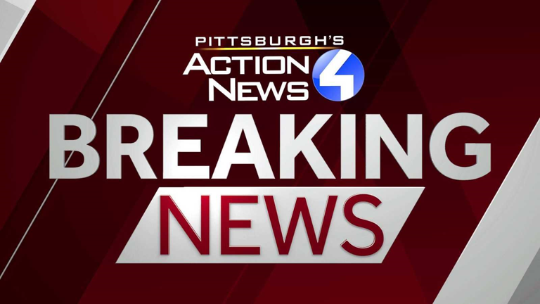 Wires down lead to road closures, power outage in Bethel Park