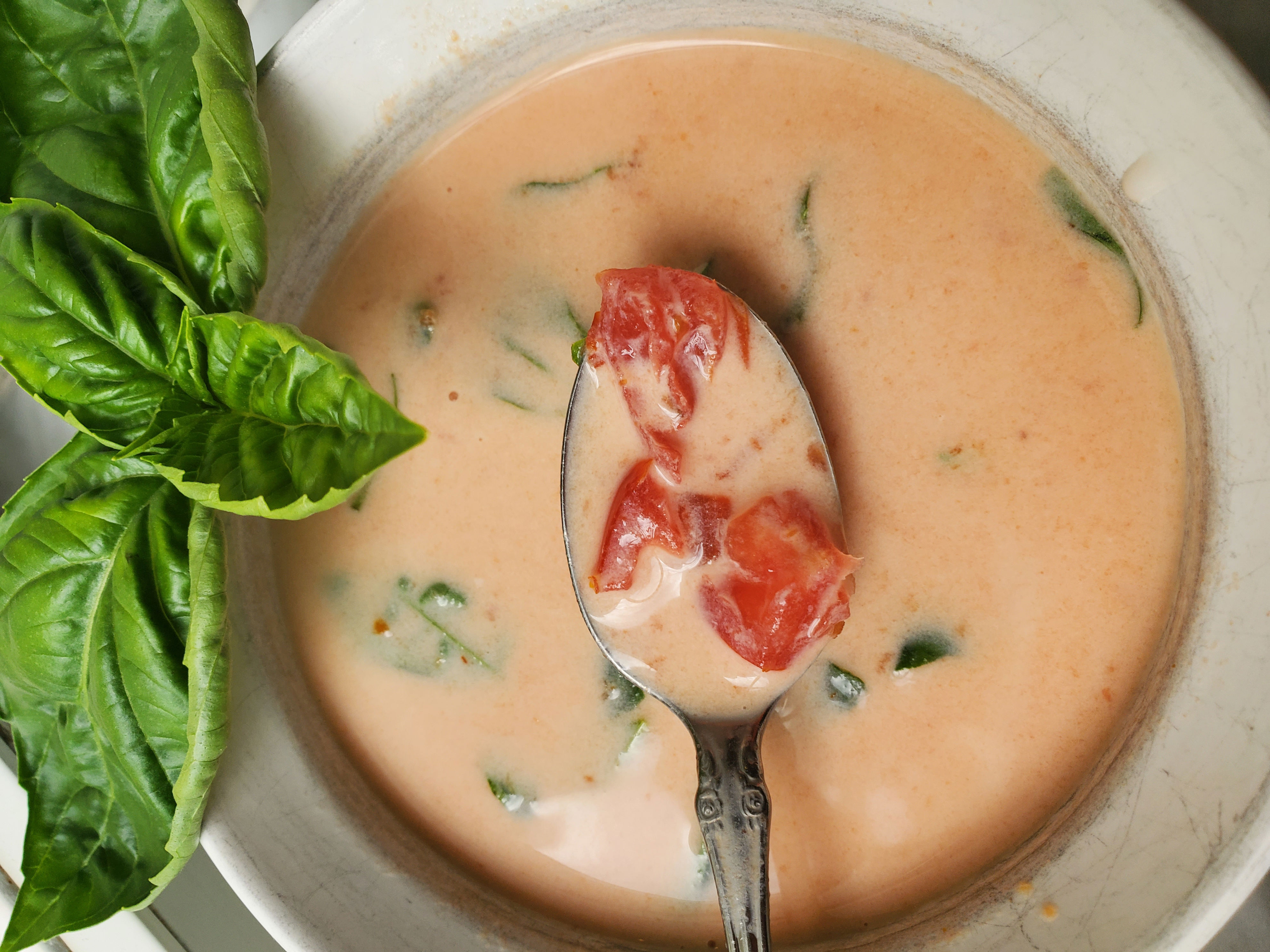 Homemade tomato basil soup