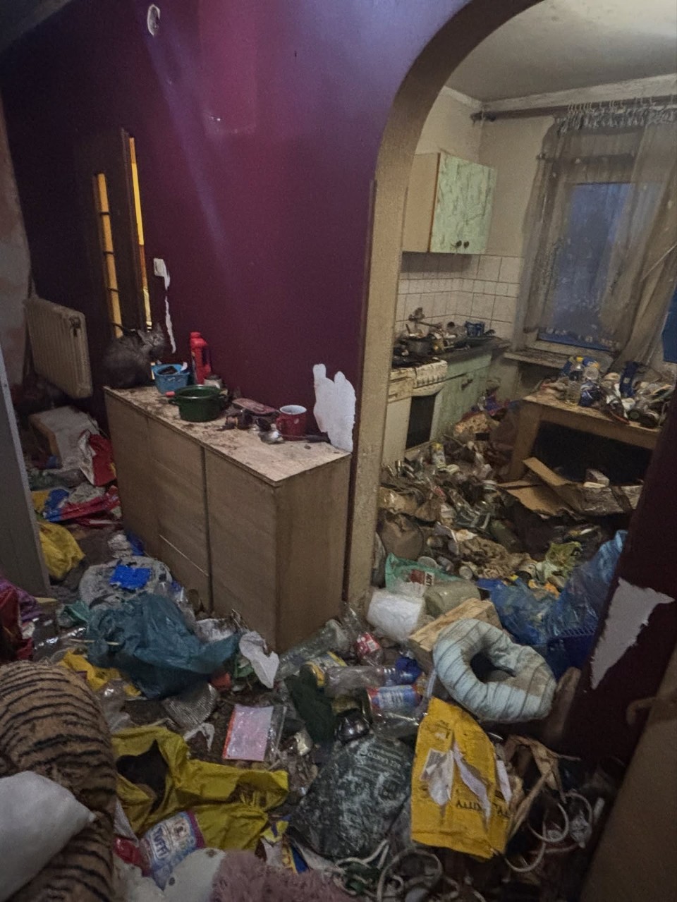 Interwencja w Łochowie pod Bydgoszczą. Kilkanaście zwierząt żyło w ...