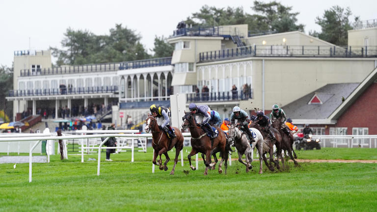 Ludlow and Lingfield call off Monday fixtures