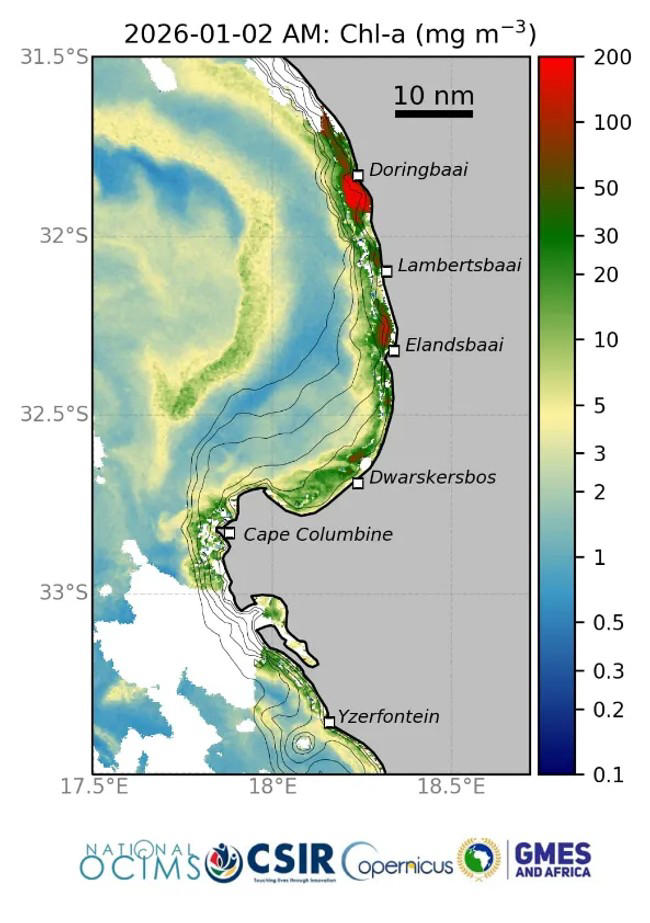 Update: Authorities continue monitoring red tides and fish mortality ...
