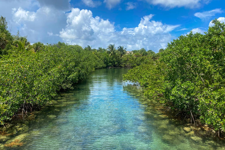 This 79-acre island is one of Florida's best-kept secrets—and it's less ...