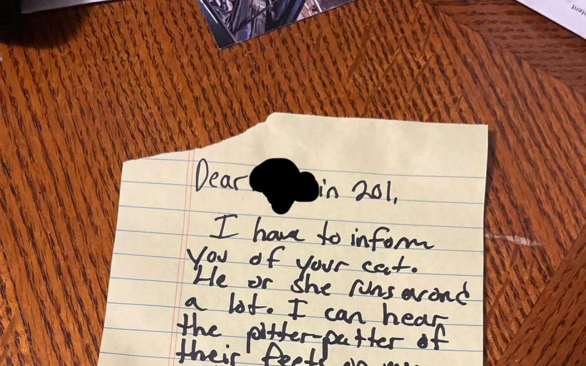 Man pens note to neighbor upstairs about noisy cat—but there’s a twist