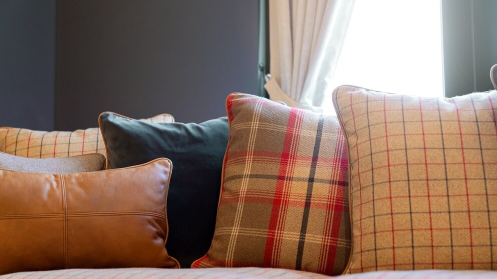 7 unique patterns to know when decorating