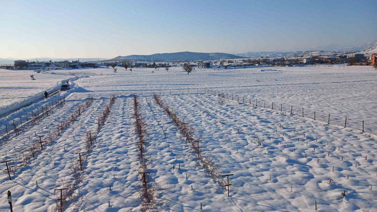 Kulp’ta kar yağışı çiftçiye umut oldu