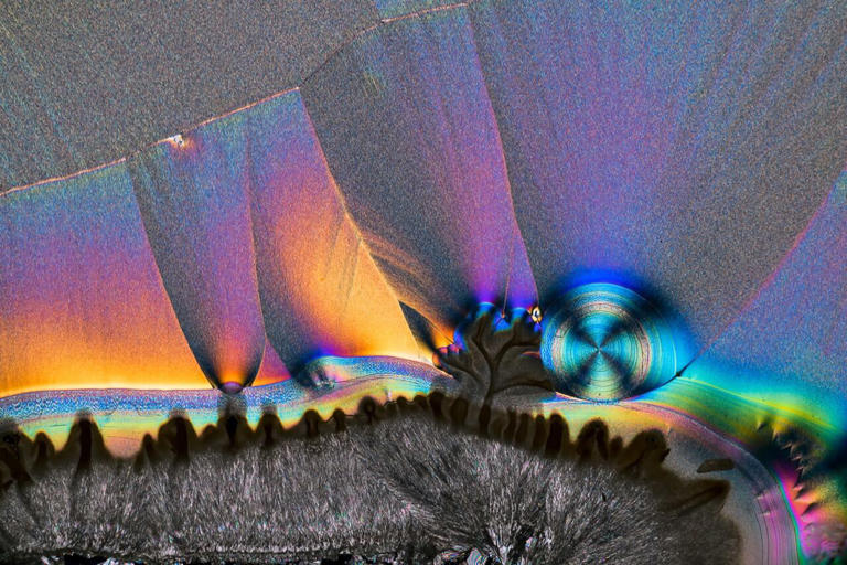 Xposure International Photography Festival 2026: What to see and do