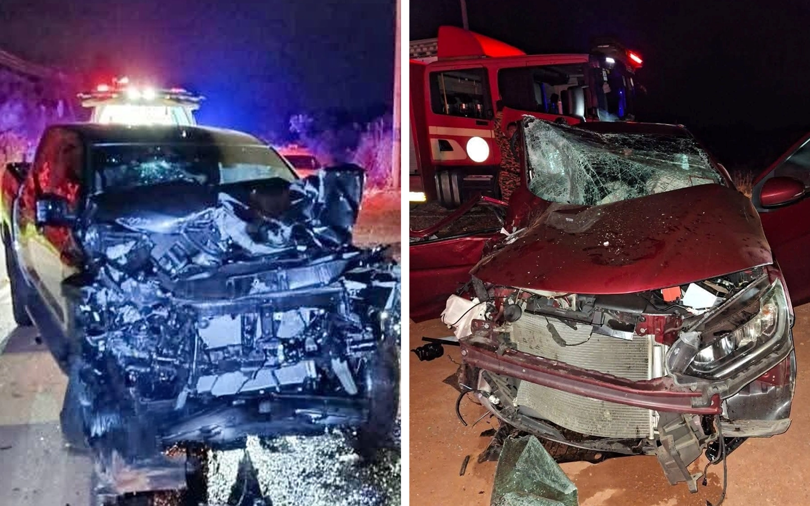 Buffalo collision on Tangkak road leaves 2 dead