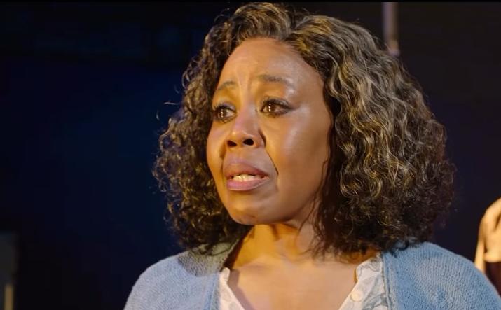 Sharon Catherine Brown shines in 'The Notebook' – opens at the ...