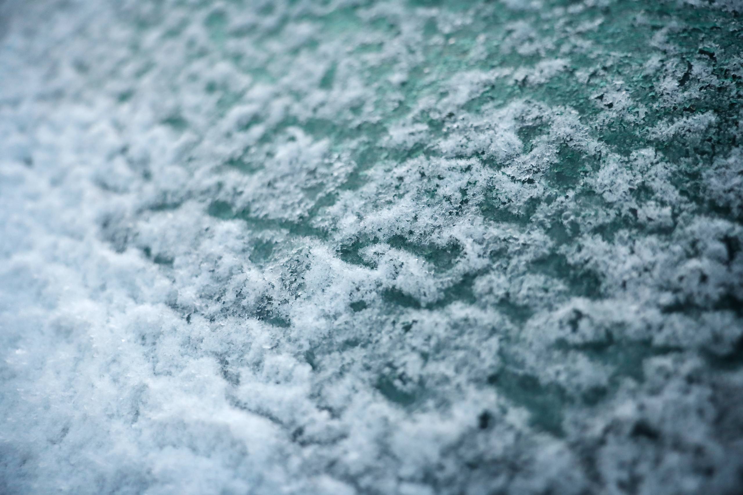 Debat: Hvad har vi dog ikke frarøvet vores børn og efterkommere?