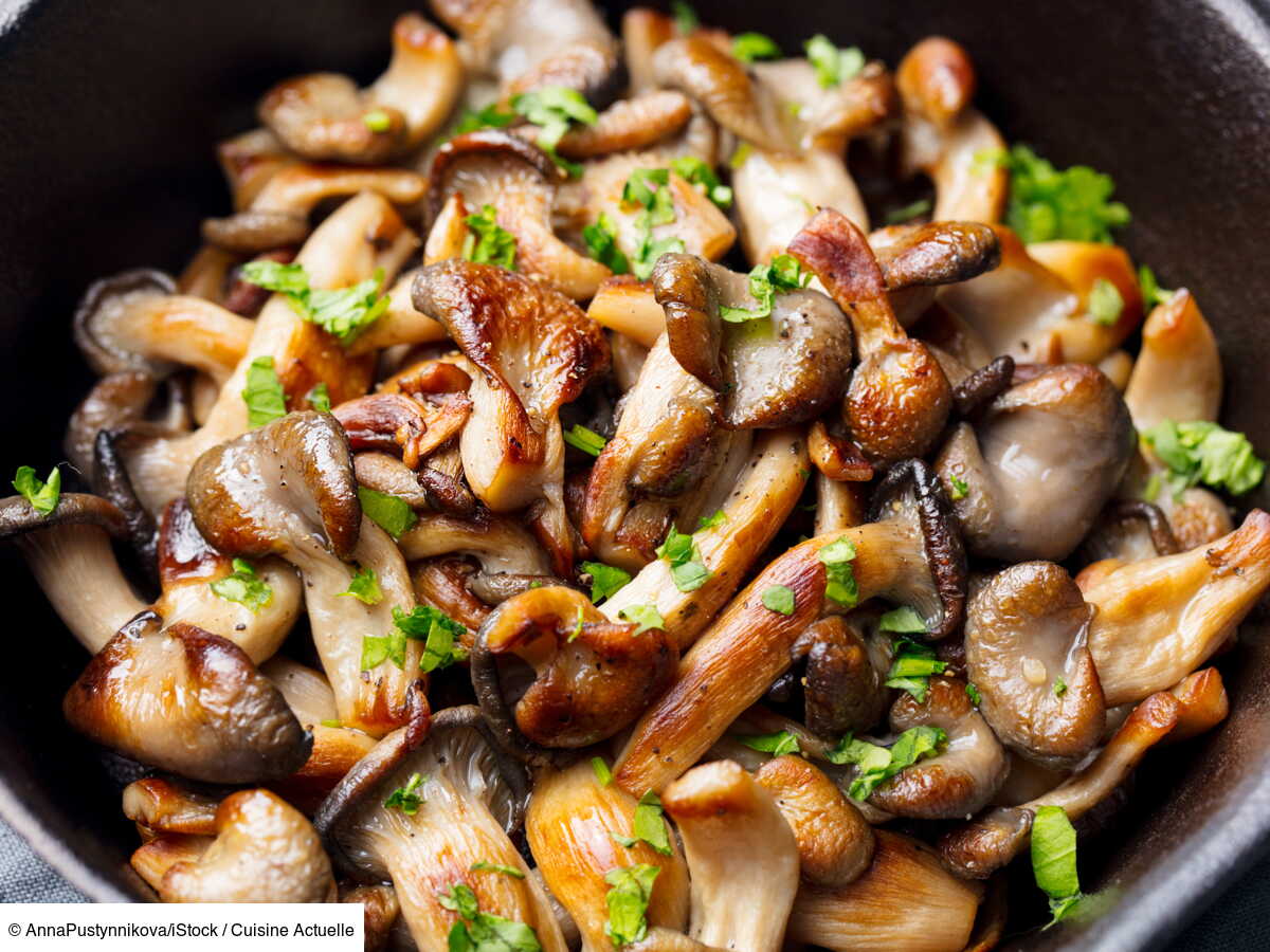Comment bien cuire les champignons