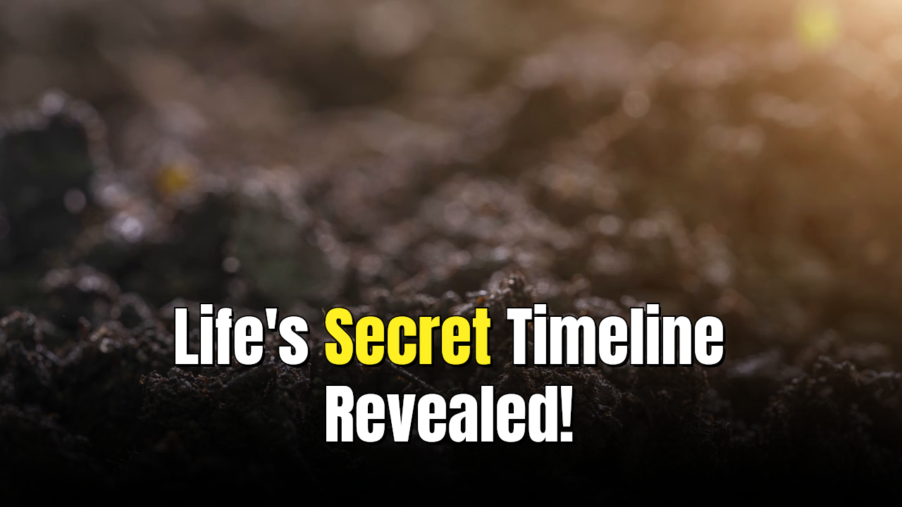 Complex life developed much earlier than previously thought, study finds