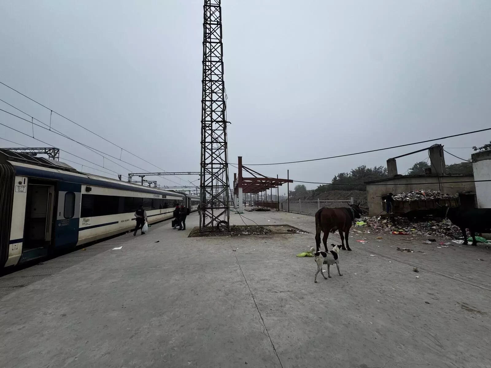 Stray cattle, dogs and garbage mar ambience of Gaya railway station