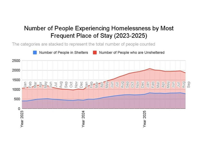 Crime down but Edmontonians feel unsafe due to 'social disorder': report